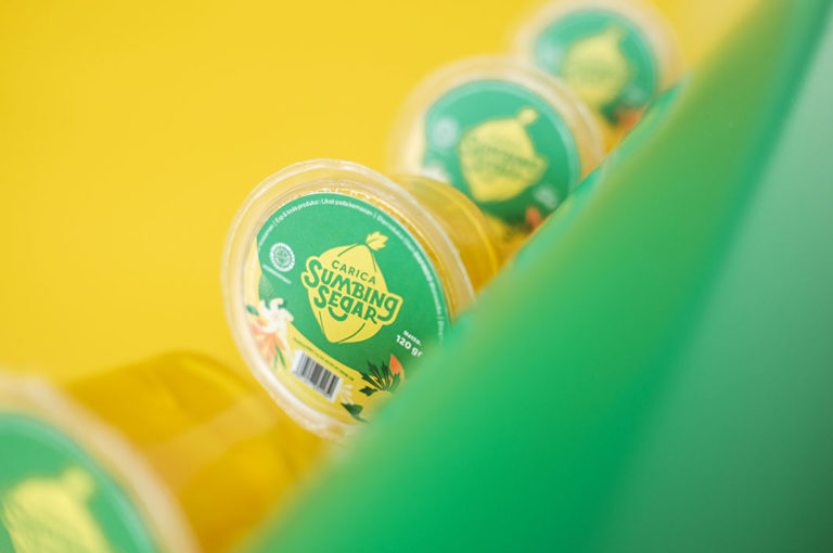 Distributor Carica Dieng Wonosobo Diberbagai Kota Jakarta Solo Jogja