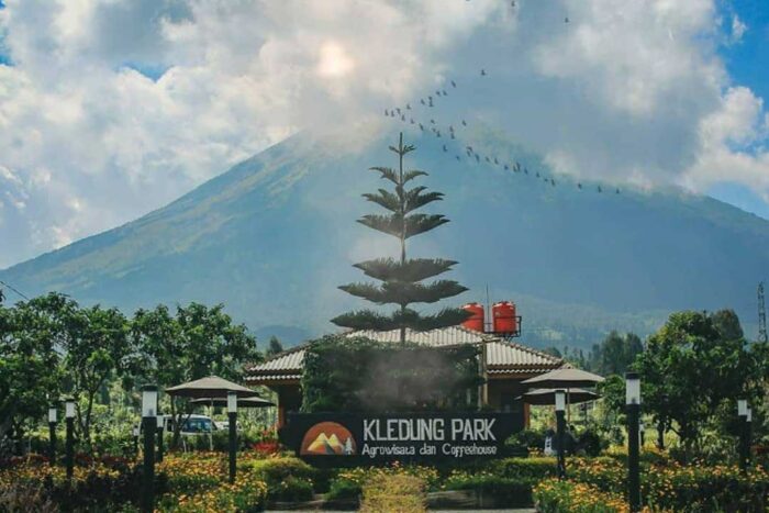 Kledung Park : Ciptakan Momen Seru Liburan