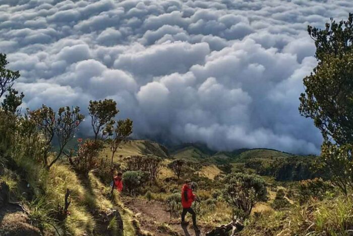 Wisata Ekstrem Pendakian Gunung Sumbing di Jawa Tengah