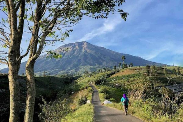 Wisata Ekstrem Pendakian Gunung Sumbing di Jawa Tengah